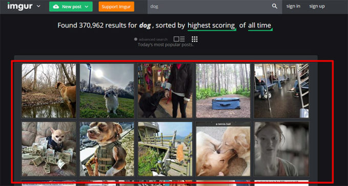 「imgur」の使い方は？ 画像のアップロードや検索方法を解説！ - OTONA LIFE | オトナライフ