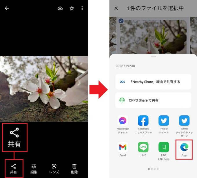 Microsoft Edge「Drop」の使い方 − パソコン、iPhone、Android間で簡単にデータを共有できる - OTONA LIFE | オトナライフ